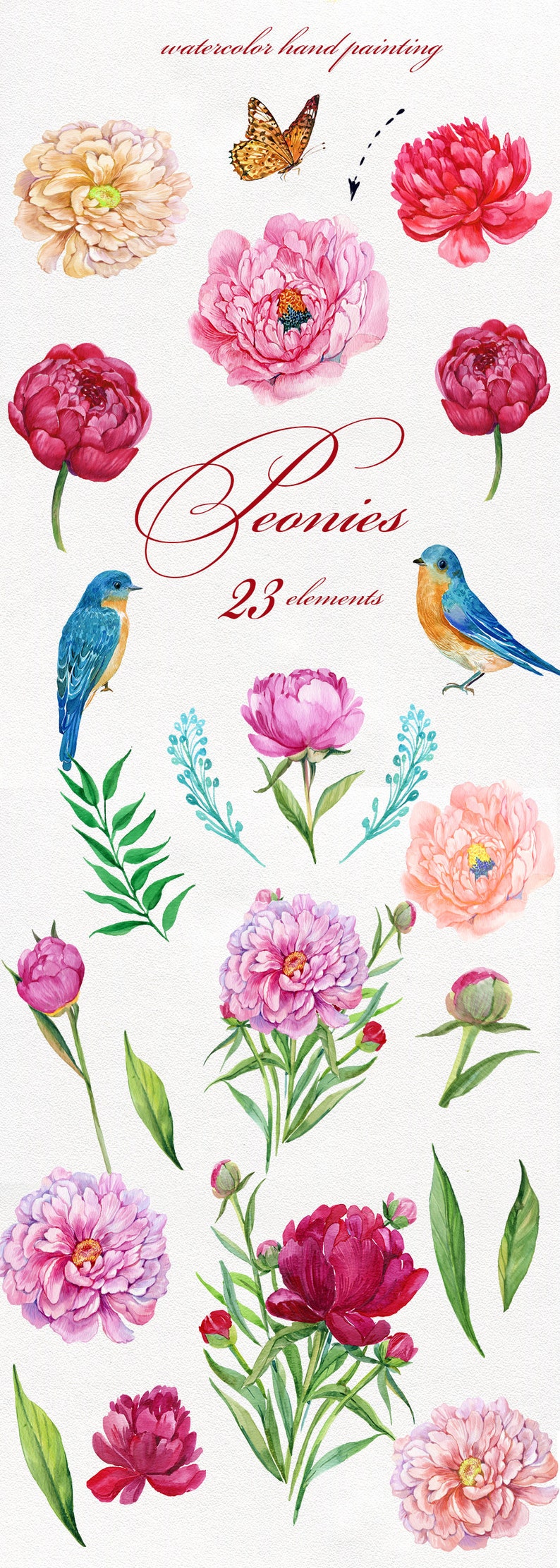 Peonies Clipart Flowers Watercolor Wedding Clipart. Watercolor - Etsy