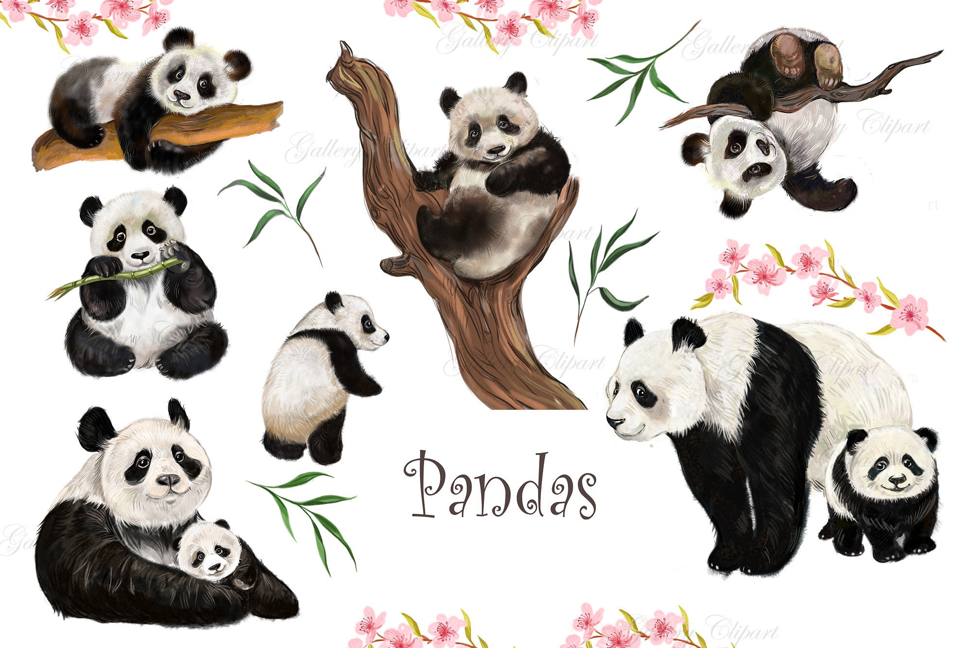 Panda Clipart PNG Amimals Cute Bear Clipart birthday Card - Etsy