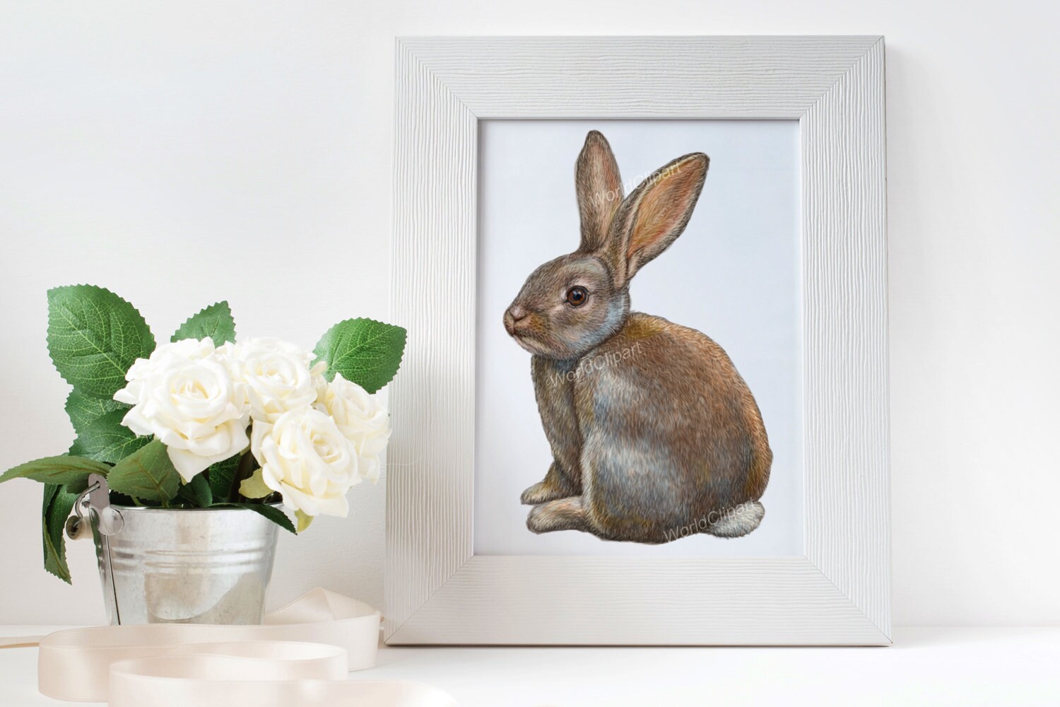 Rabbits Clipart Animal Illustrations PNG Bunny Clipart - Etsy