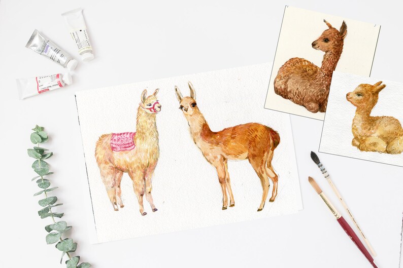Alpacas and Llamas Watercolor Animal Clipart Digital Clipart - Etsy