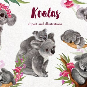 Cute Koalas Clipart Animal Clip Art PNG Australia Koalas - Etsy Australia
