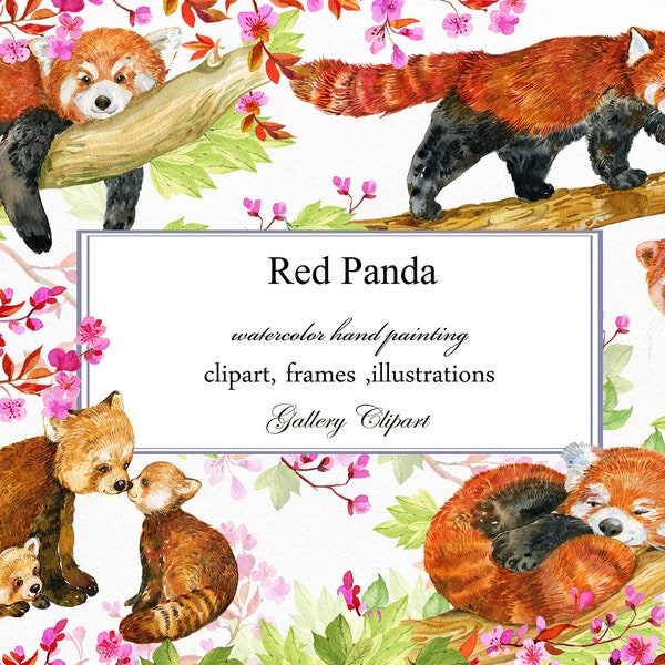 Red Panda Watercolor - Etsy