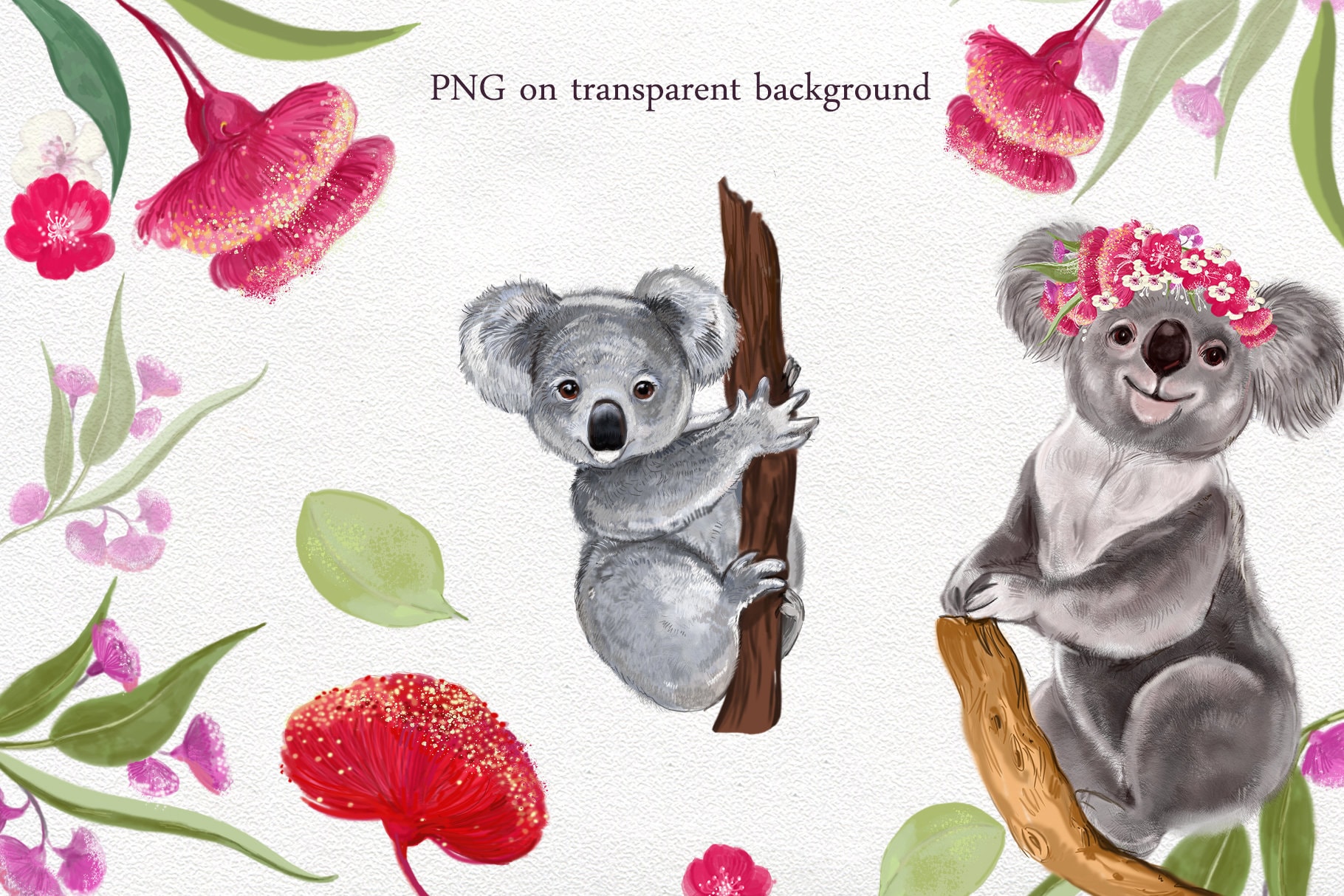 Cute Koalas Clipart Animal Clip Art PNG Australia Koalas - Etsy Australia