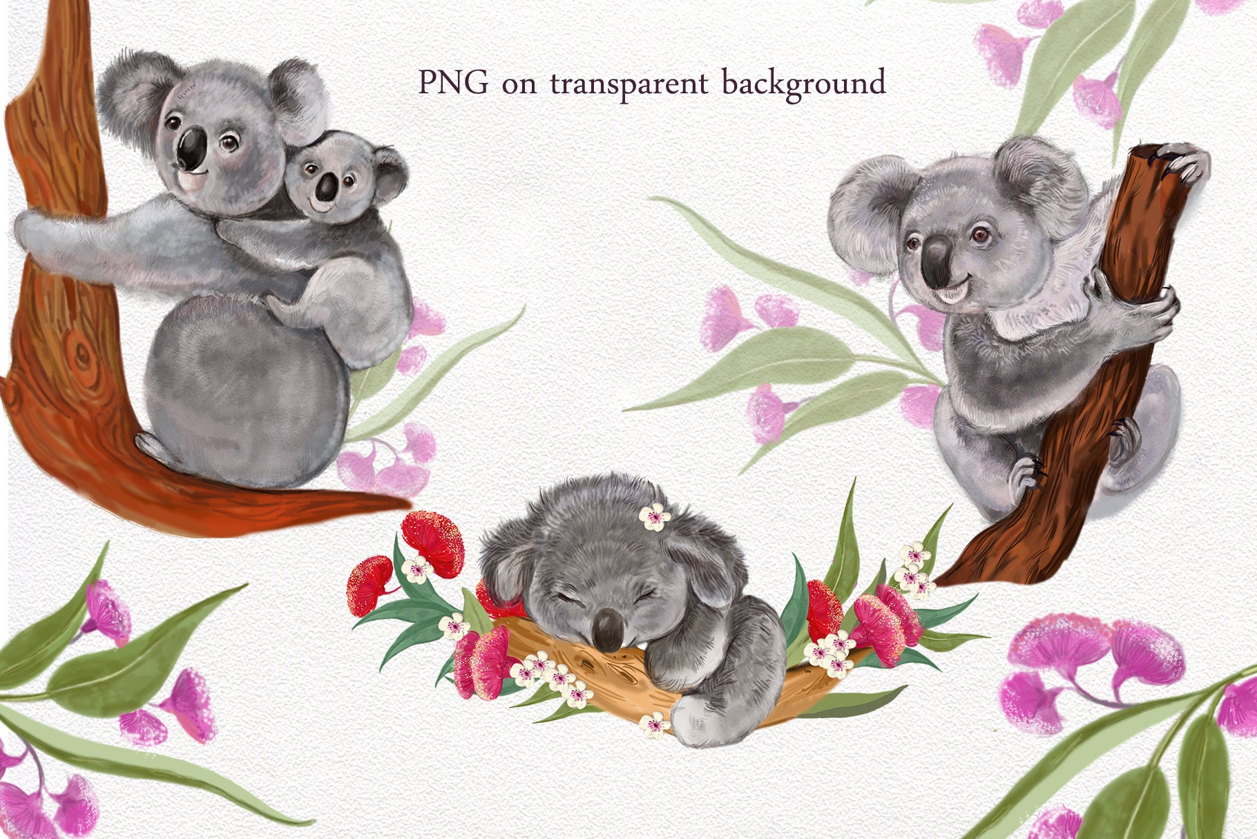 Cute Koalas Clipart Animal Clip Art PNG Australia Koalas - Etsy Australia