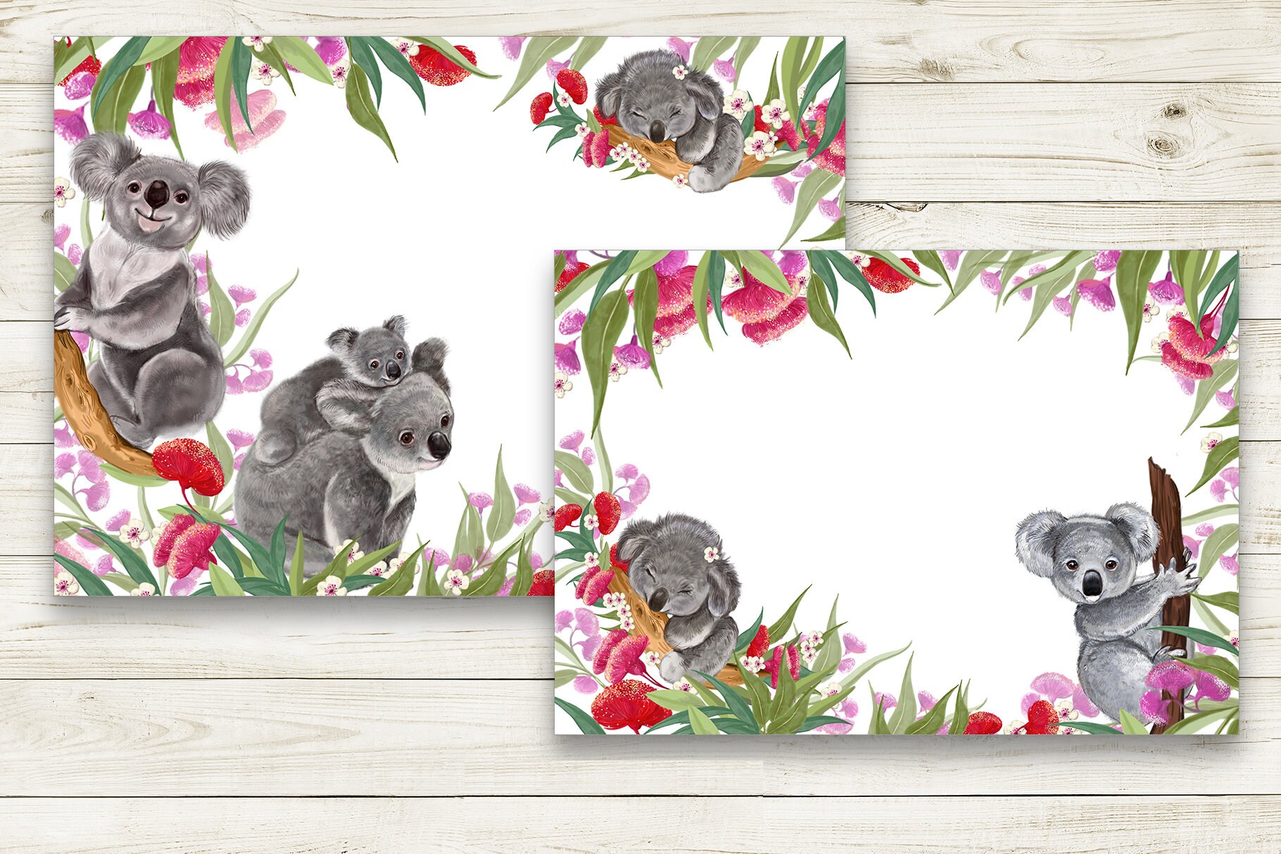 Cute Koalas Clipart Animal Clip Art PNG Australia Koalas - Etsy
