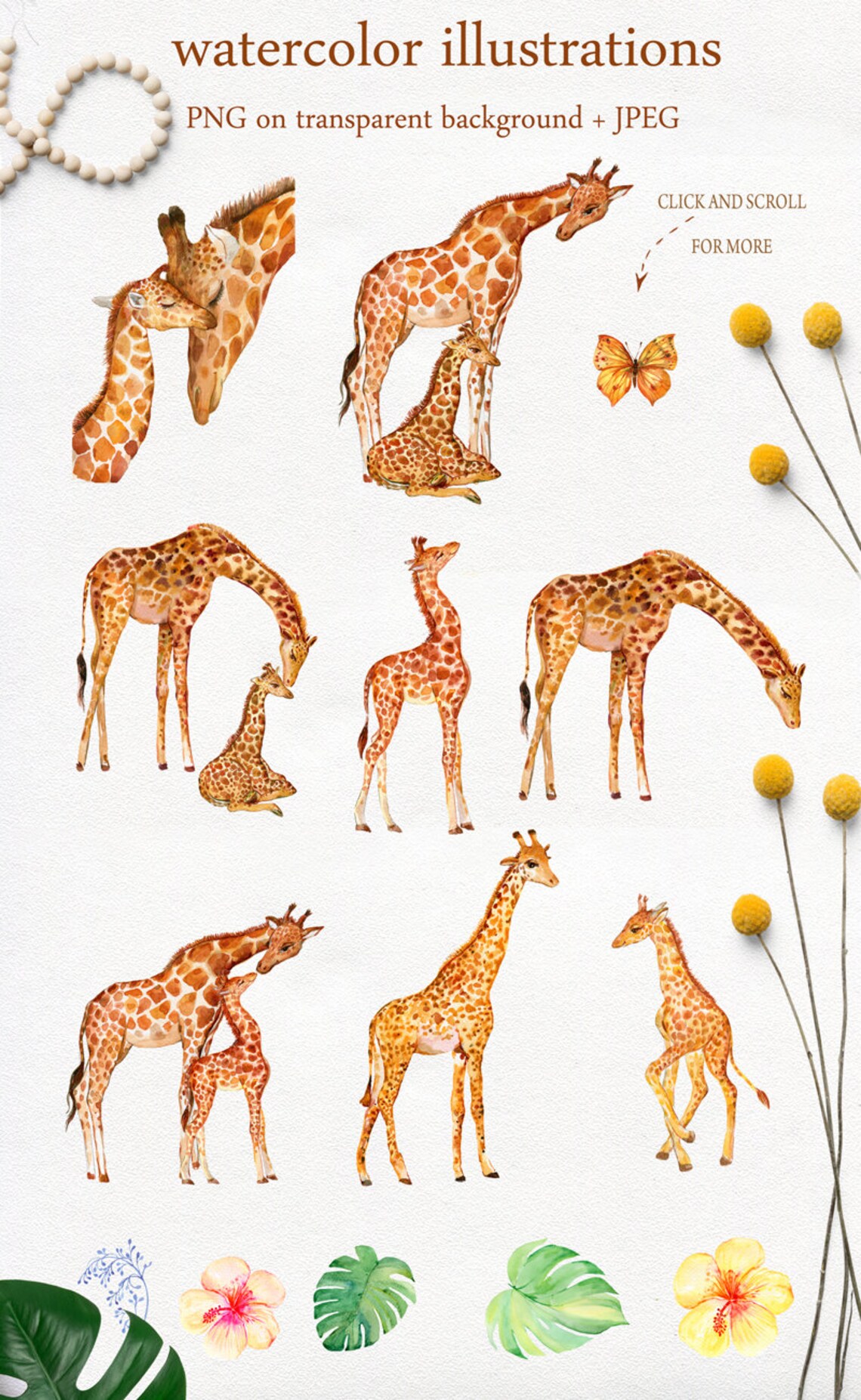 Giraffes Giraffe Png Baby Giraffe Watercolor Png - Etsy