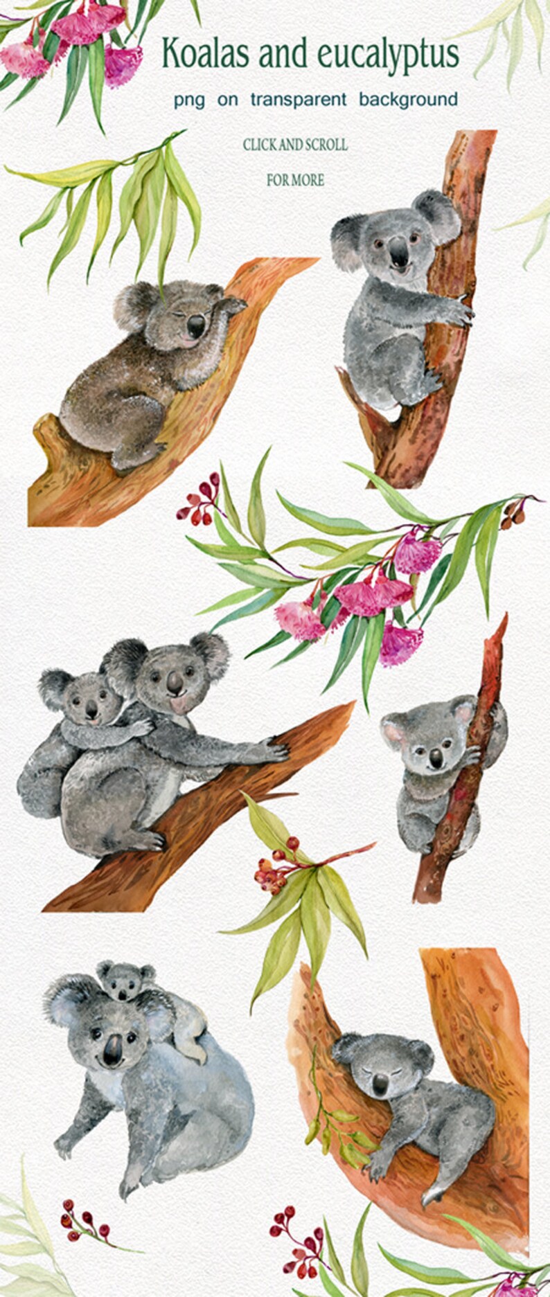 Koala Animals Clipart. Illustration.koala Watercolor. Cute - Etsy