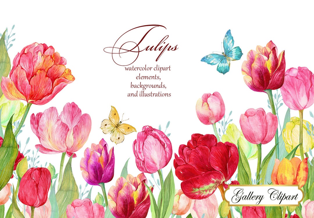 Tulips Clipart Spring, Beautiful Tulip PNG, Watercolor Tulips, Flower ...