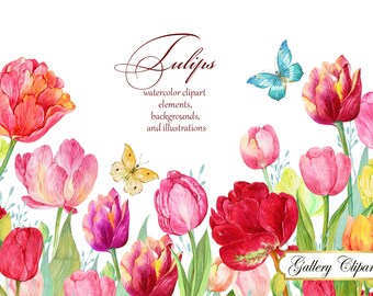 Watercolor Tulip Clip Art Colored Tulips Spring Flowers - Etsy