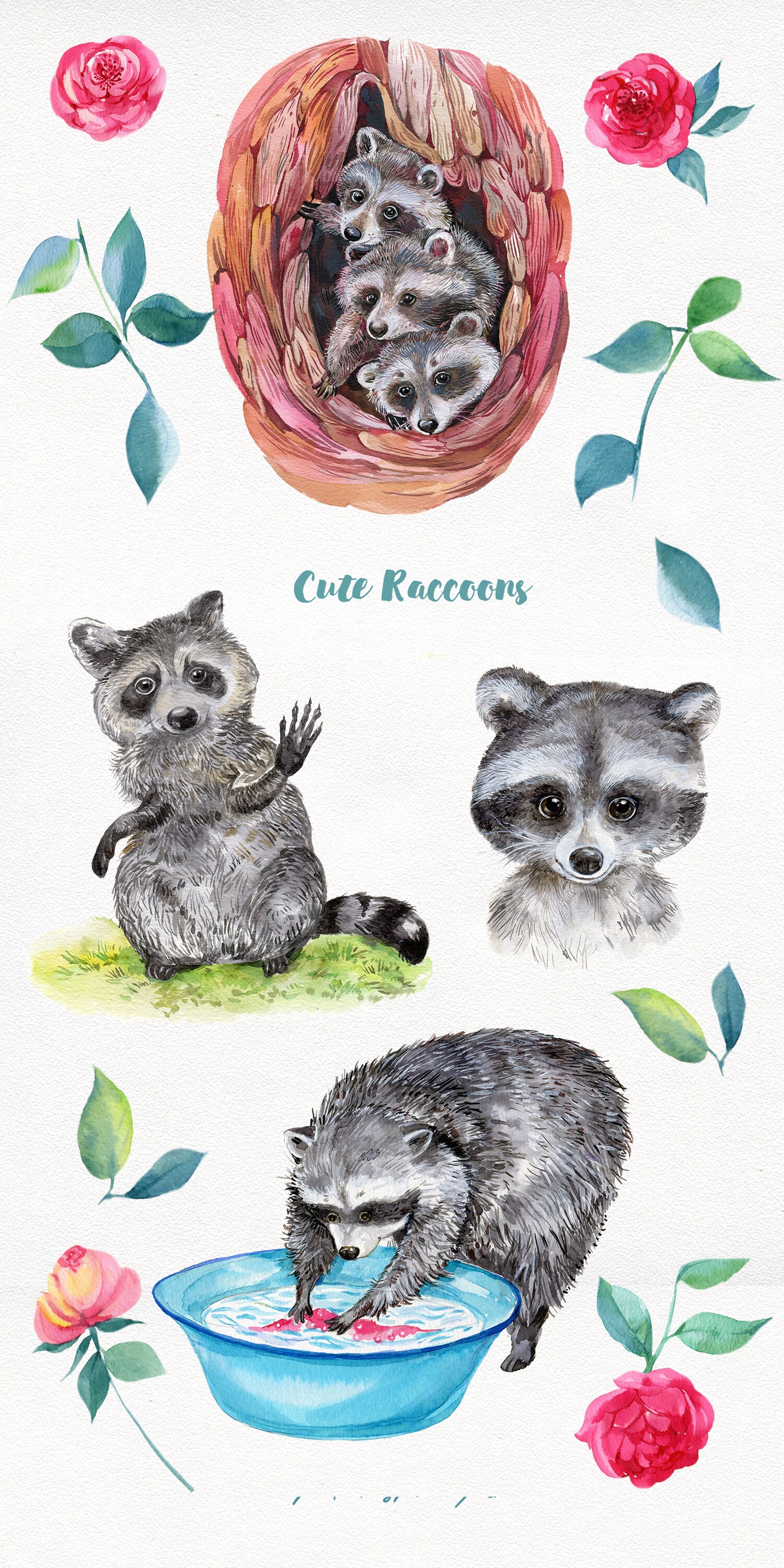 Raccoon Watercolor Clip Art Illustration Animal Woodland - Etsy
