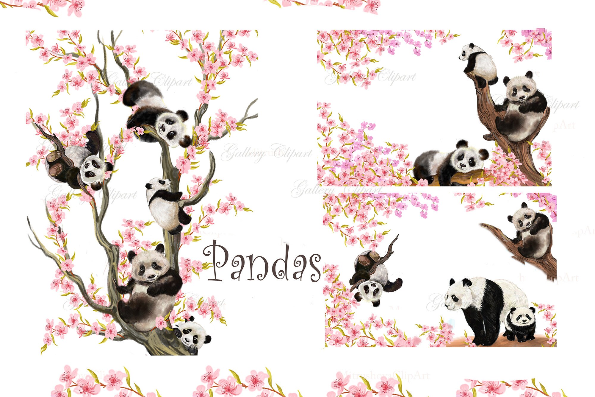 Panda Clipart PNG Amimals Cute Bear Clipart birthday Card - Etsy
