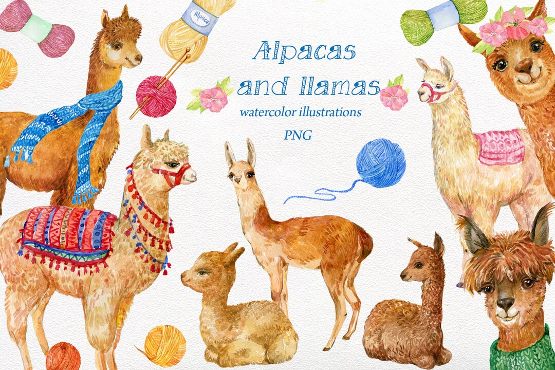 Alpacas and Llamas Watercolor Animal Clipart, Digital Clipart, Cute ...