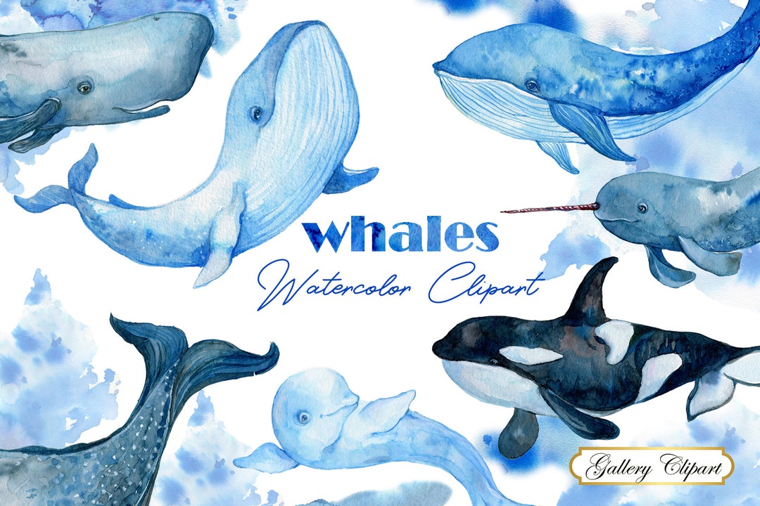Whales Watercolor Clip Art, Ocean Clip Art, Hand Painting, Sperm Whale ...