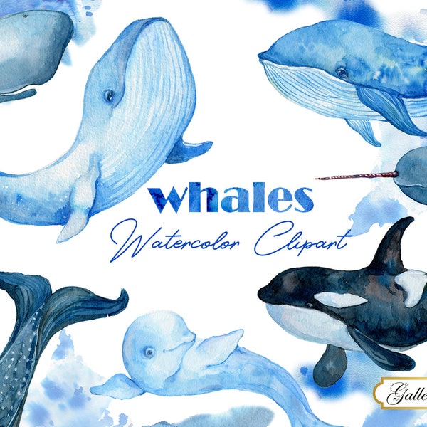 Whale Watercolor - Etsy