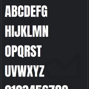 Race Car Number Plate - Permanent Vinyl or Reusable Magnet - Custom ...