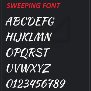 Race Car Roundel Number Plate - Permanent Vinyl or Reusable Magnet ...