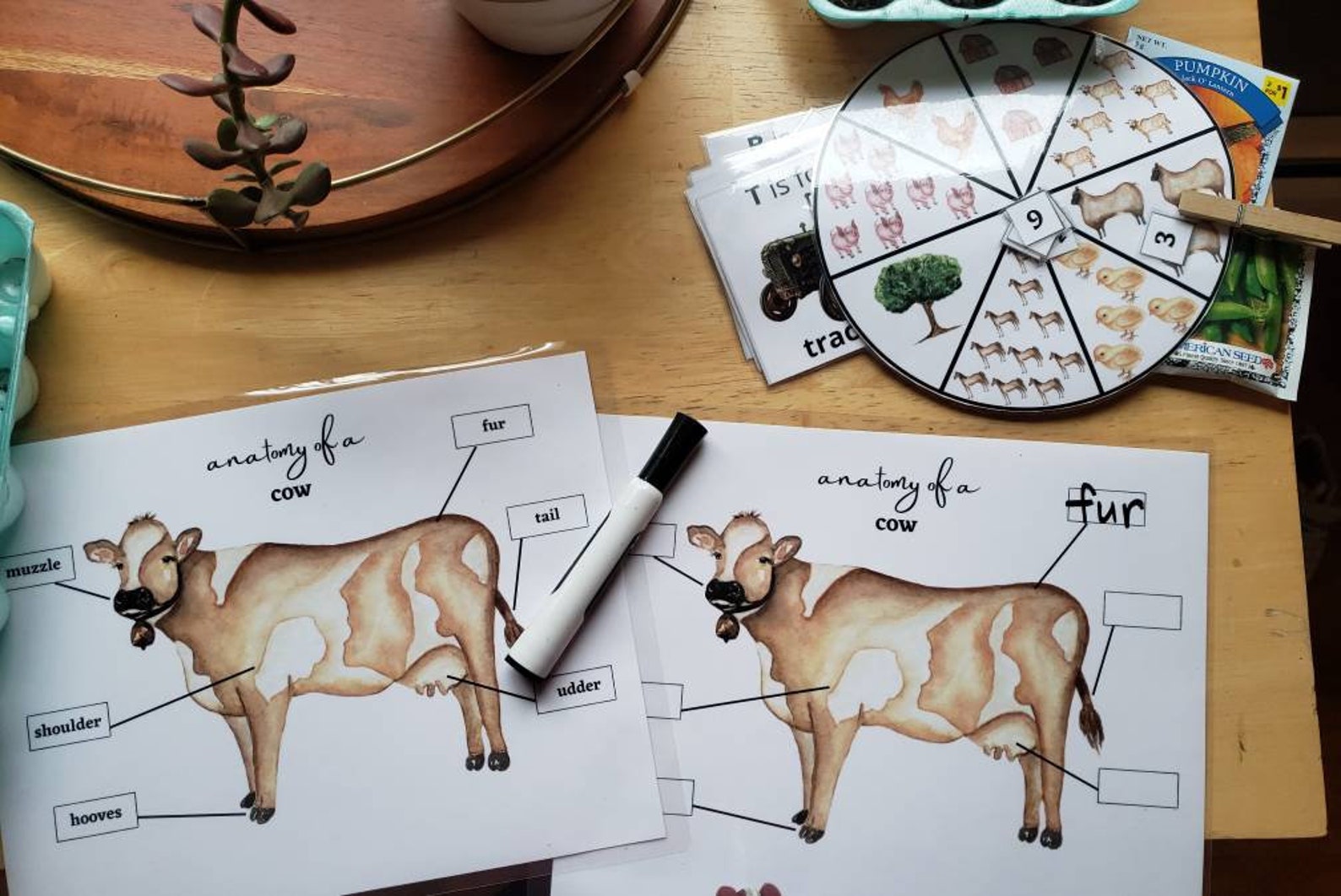 Farm Unit Learning Bundle preschool Early Elementary | Etsy