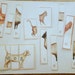 Farm Unit Learning Bundle (preschool, Early Elementary, Homeschooling ...