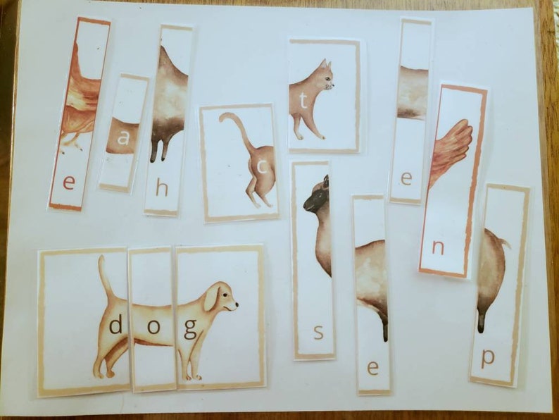 Farm Unit Learning Bundle preschool Early Elementary | Etsy