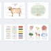 Farm Unit Learning Bundle (preschool, Early Elementary, Homeschooling ...