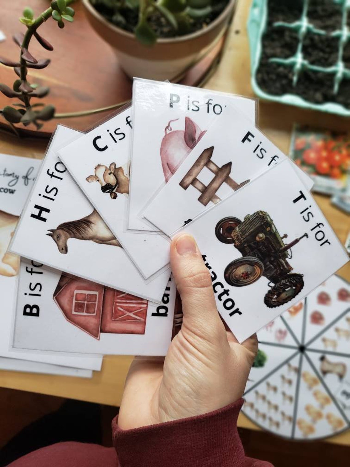 Farm Unit Learning Bundle preschool Early Elementary | Etsy