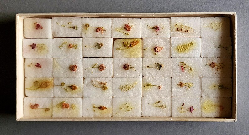 1940s Berea College Hand Decorated Sugar Candy Box W/ Preserved Candies ...