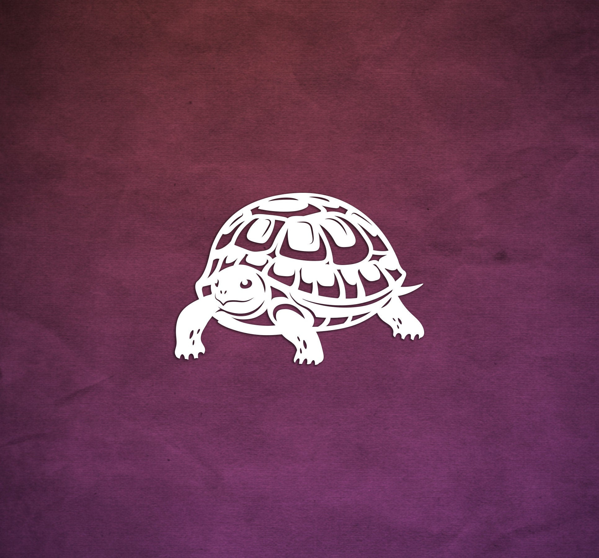 Turtle Paper Cutting Template, Turtle Papercut, Kangaroo Cut Out ...