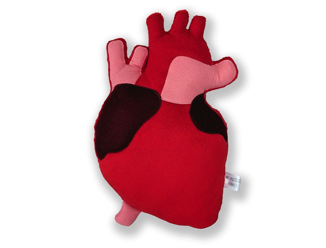 Anatomical Heart Plush Organ Heart Surgery Gift Valentines Day Gift ...