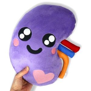 Anatomical Kidney Plush Toy Organ, Kidney Transplant Plushie Gift ...