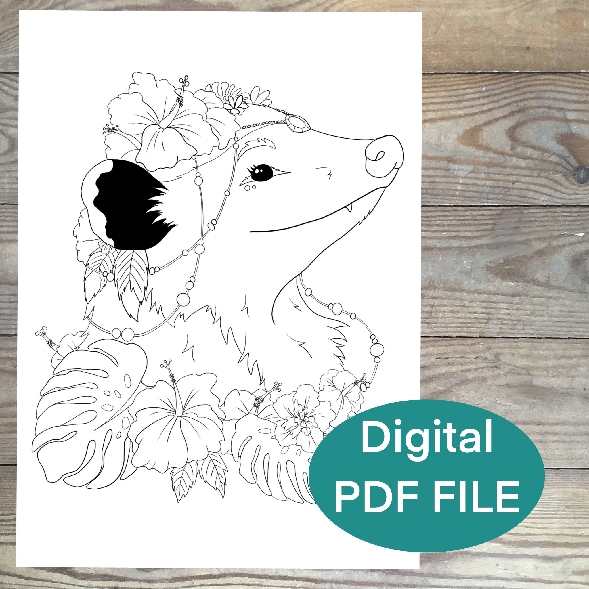 Opossum Coloring Page