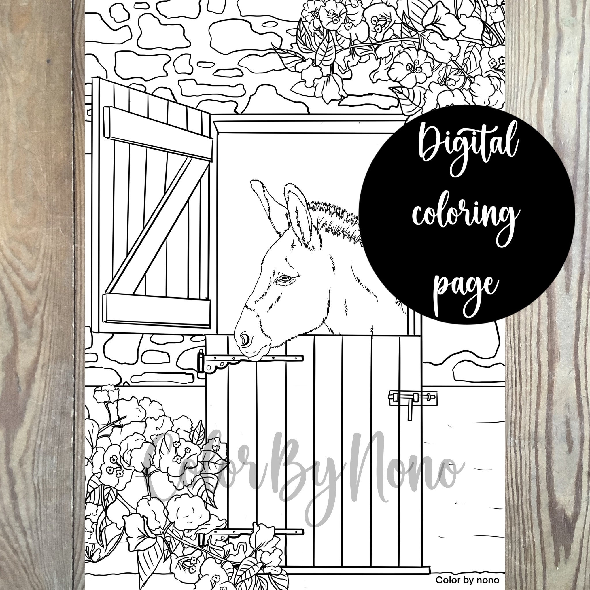 Stable Coloring Page