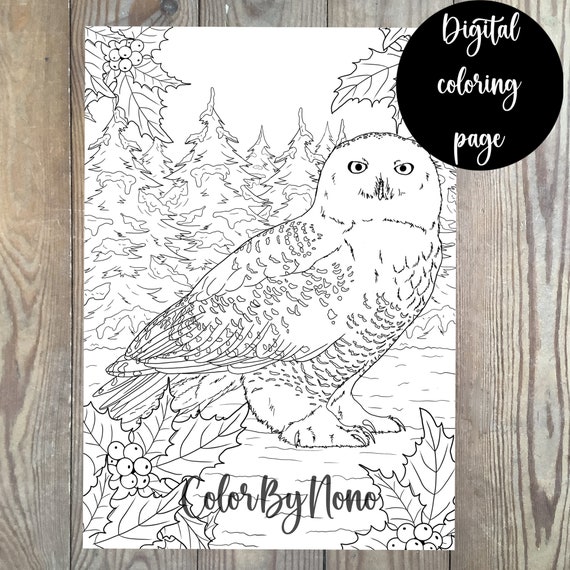 Arctic Owl Coloring Page