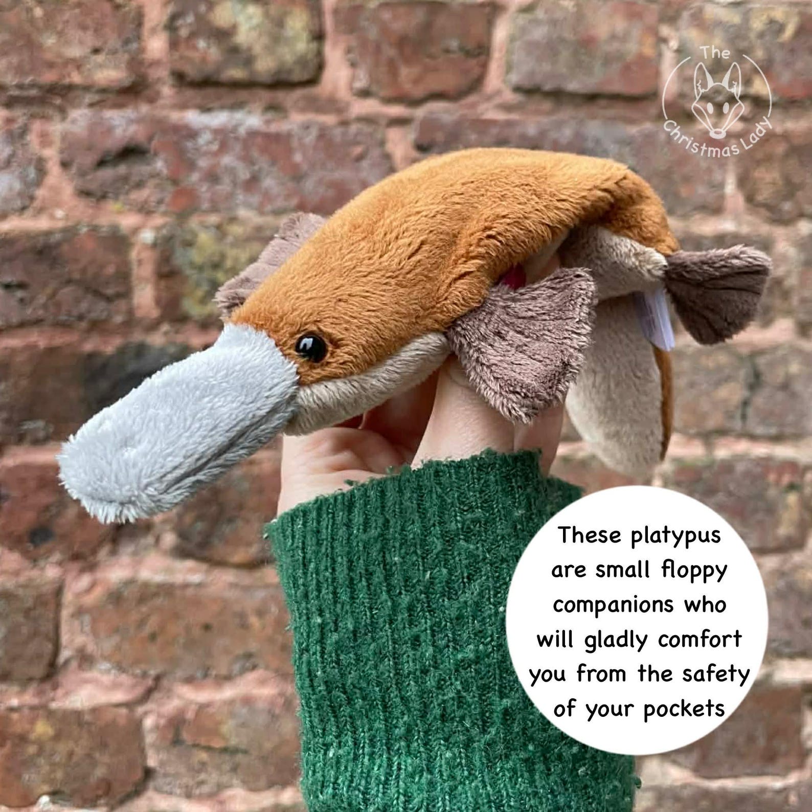 Pocketsize Platypus Plush Sewing Pattern - Digital Download - Step by ...