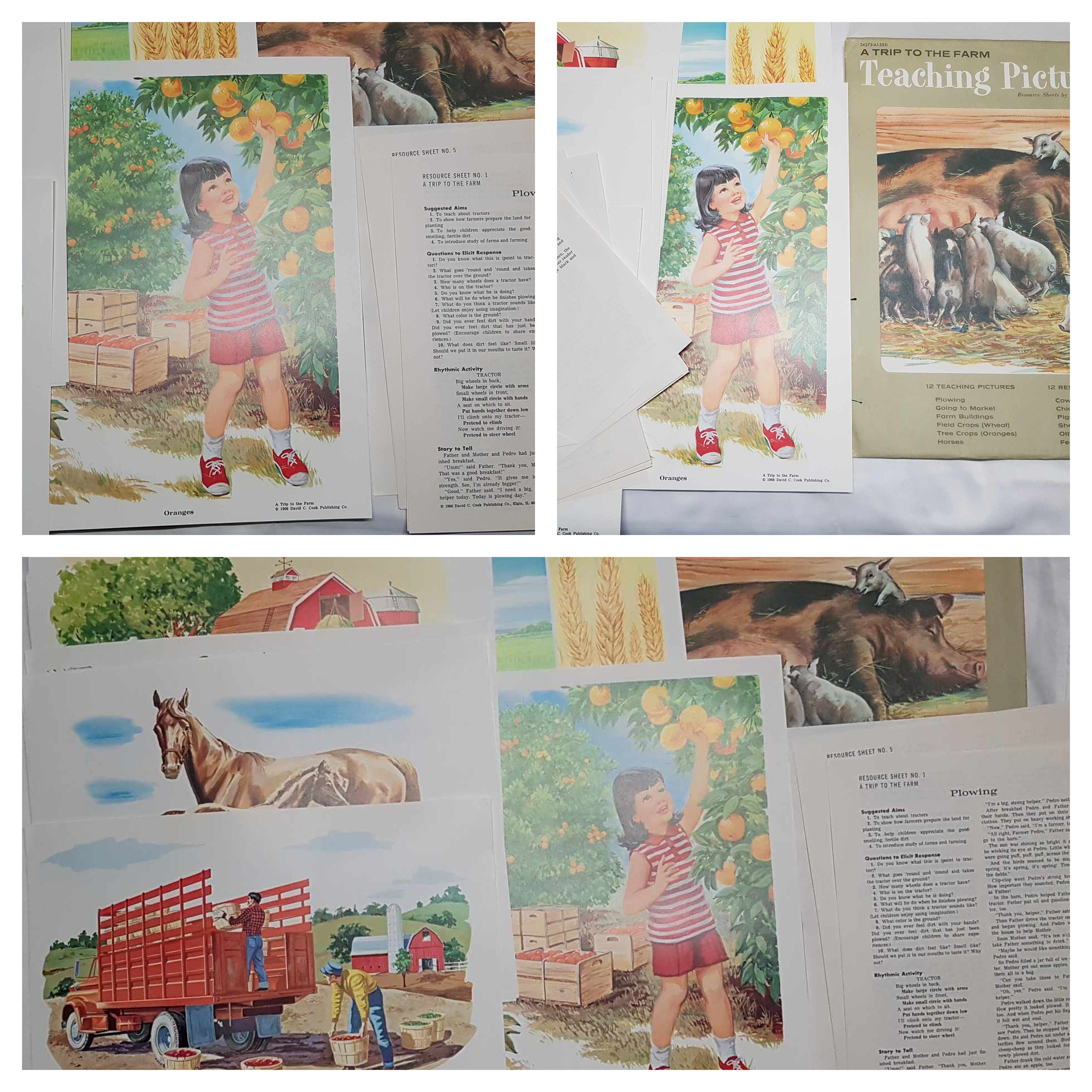 Vintage Educational School Poster Pack 1960''s 1970's 1980's - Etsy