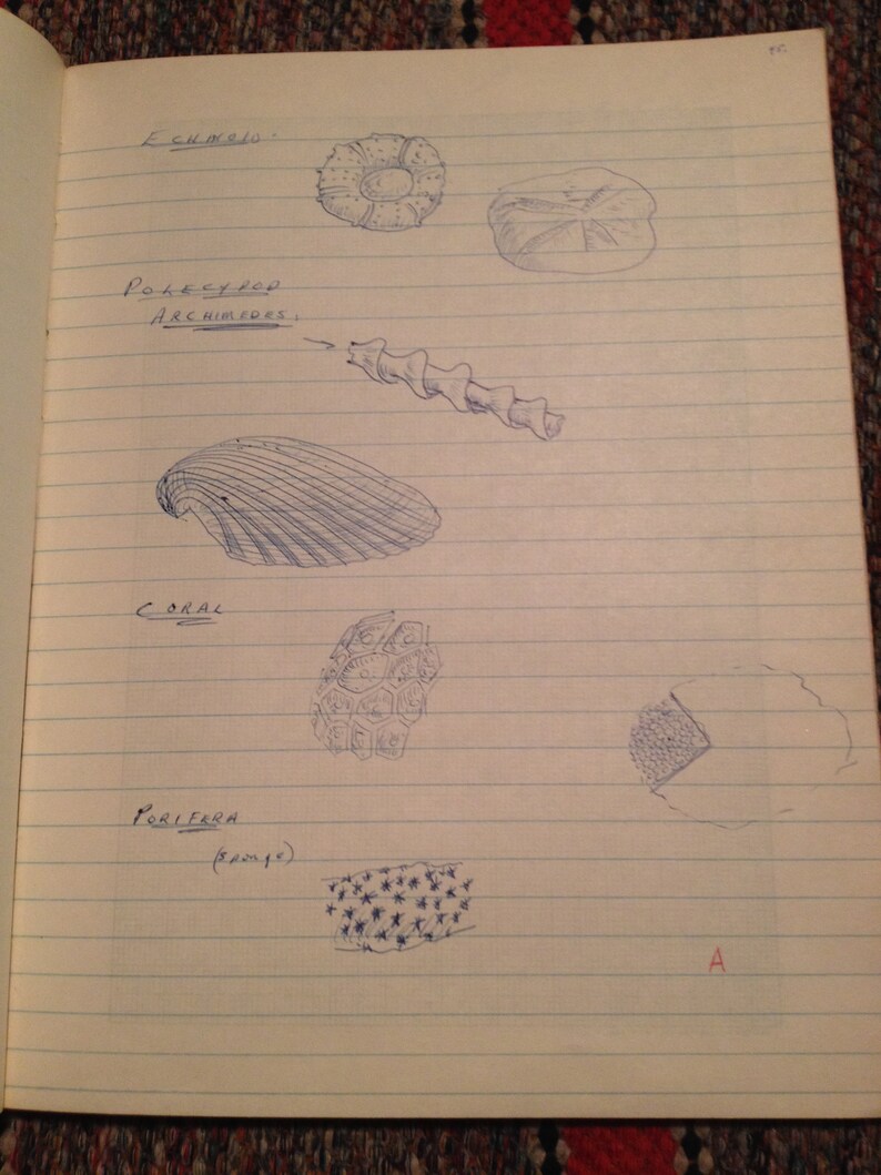 Vintage Notebook Handwritten Geology Containing Notes and | Etsy