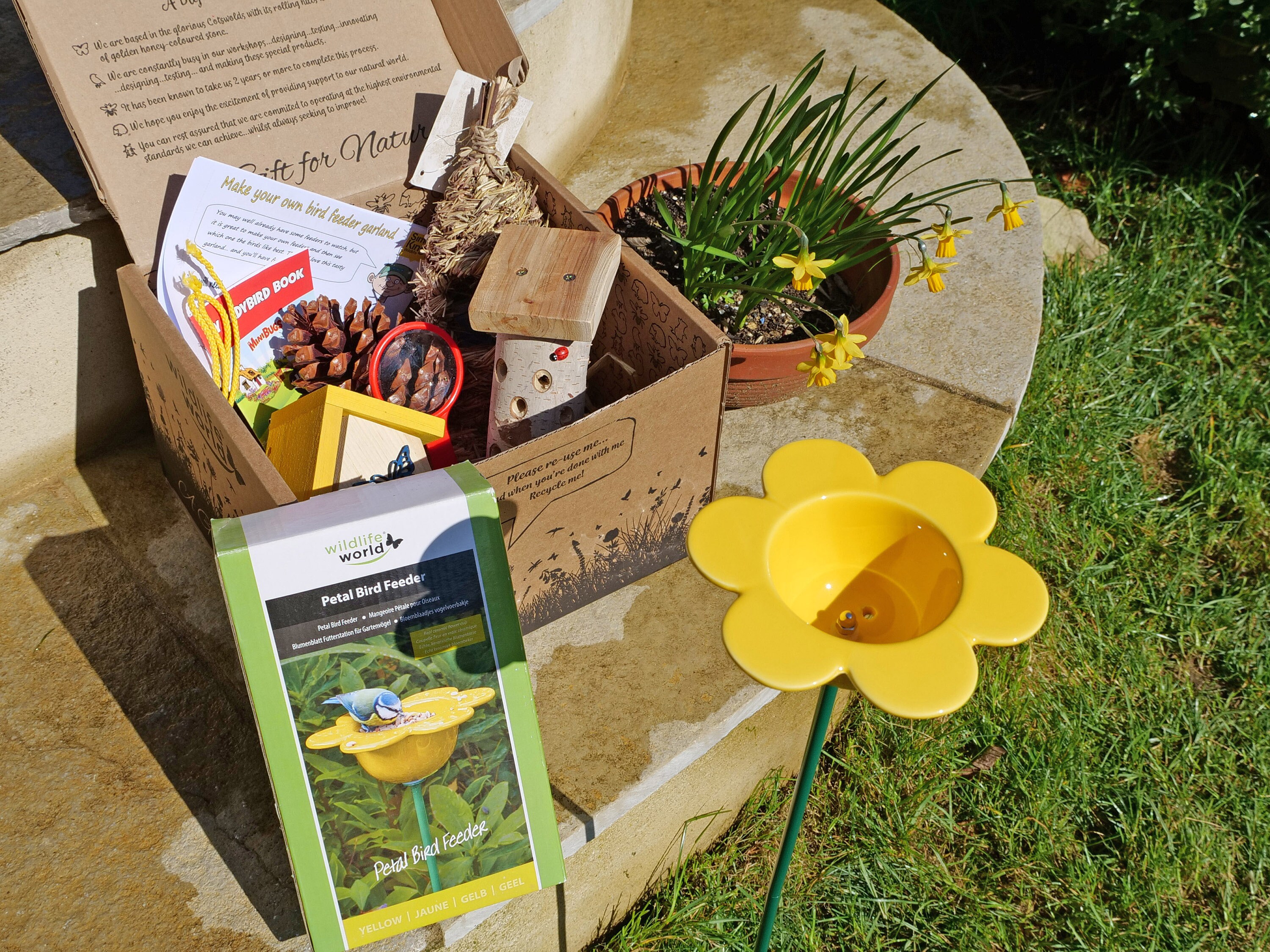 Wildlife Explorer Kit 1 | Etsy