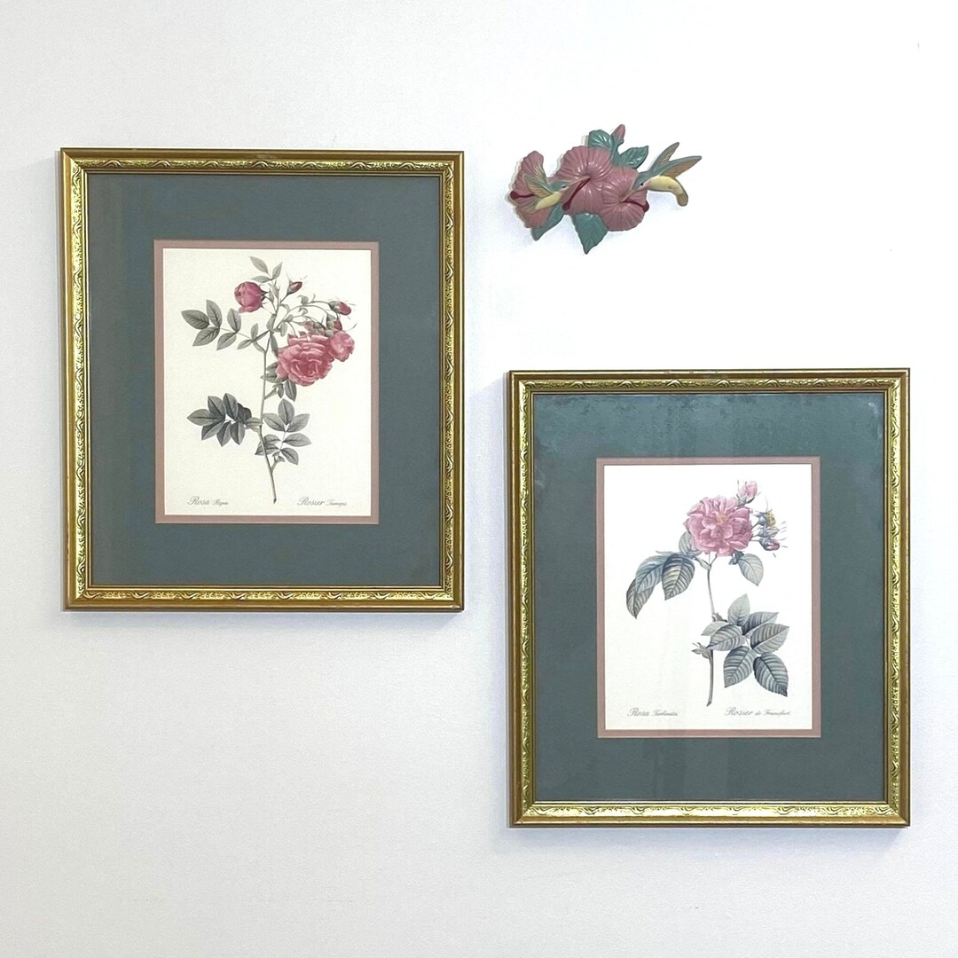 Vintage Pink Roses Botanical Retro Framed Art Rosier French Country ...