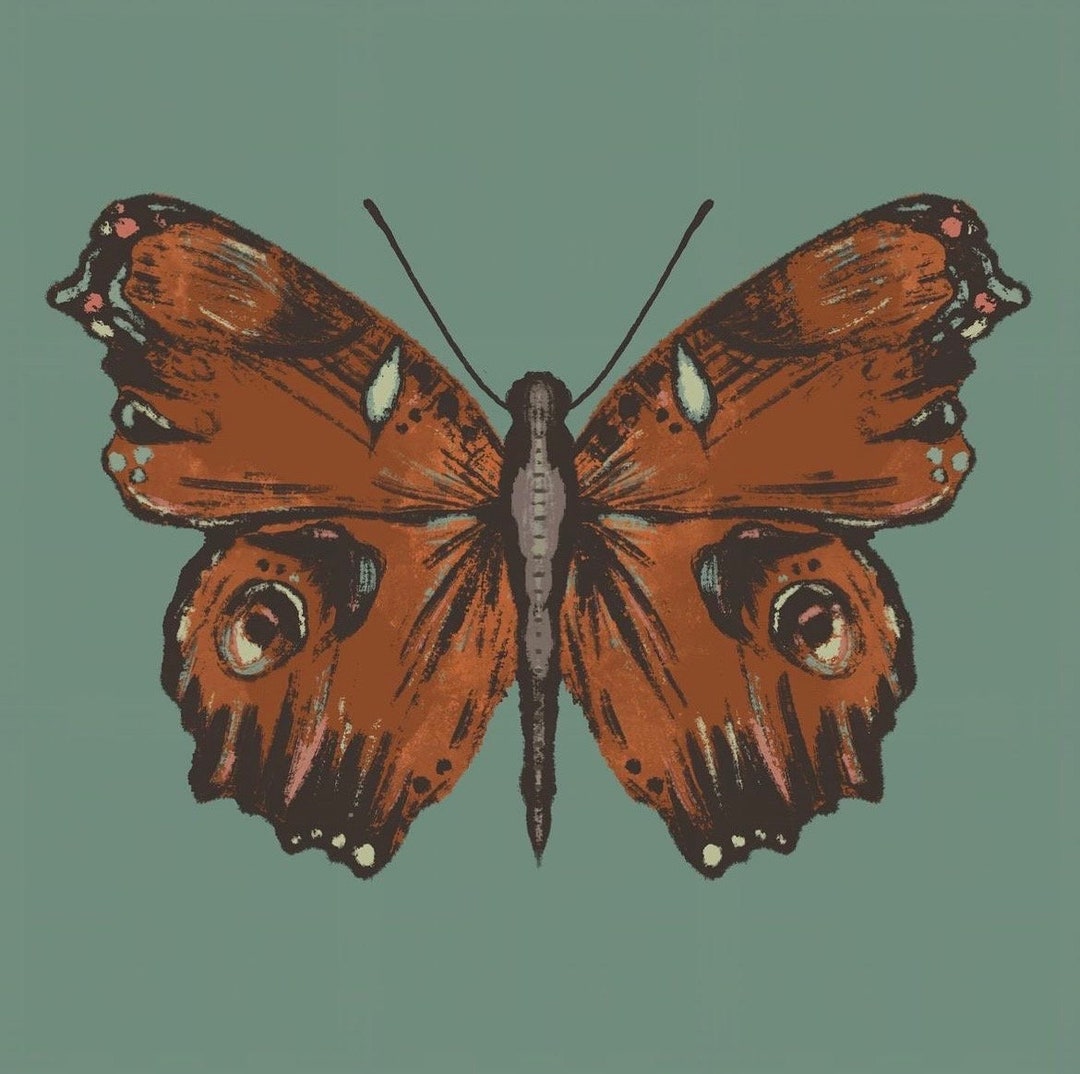 Burnt Orange Butterfly Print - Etsy