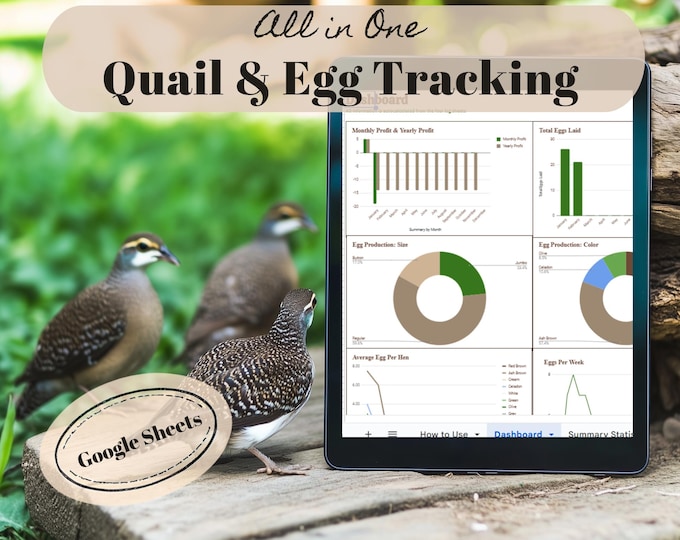 Coturnix Quail Guide and Journal Digital or Printable. From Hatching to ...
