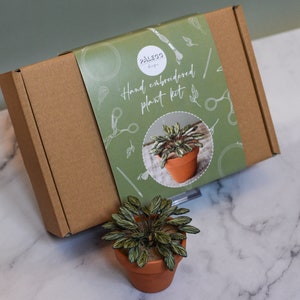 3D Stumpwork Plant Hand Embroidery Kit | Suitable for Beginners | Learn ...