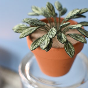 3D Stumpwork Plant Hand Embroidery Kit | Suitable for Beginners | Learn ...