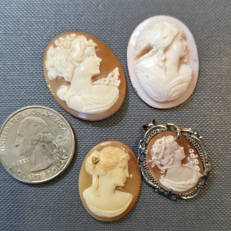 Shell Cameos - Etsy