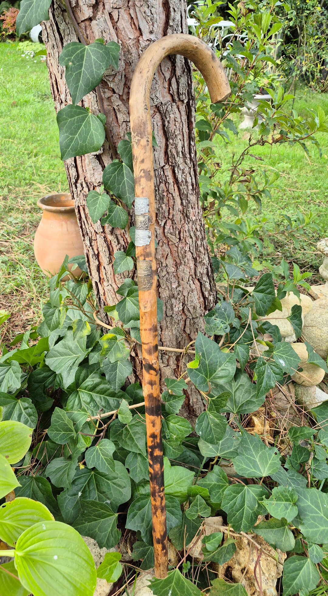 Antique Cane, Wooden Walking Stick, Metal Spike, Shepherd's Crook ...