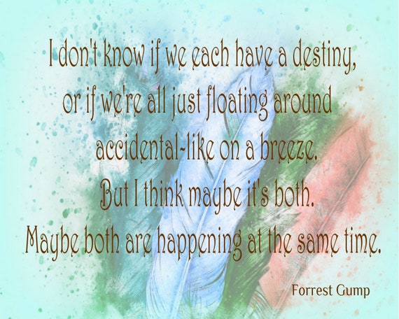 Forrest Gump Quotes Destiny