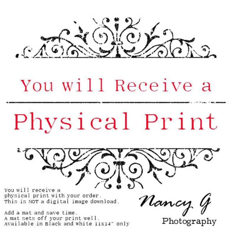 Massachusetts Slogans Word Art Typography Map | Etsy