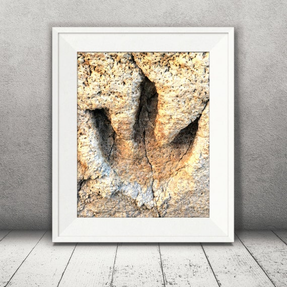 Dinosaurs Footprint Theropod Footprint Print Dino Wall Art | Etsy
