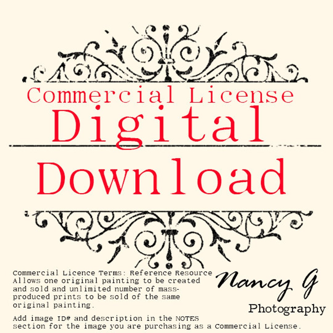 Digital Download, Commercial License, Artists, Reference Resource ...