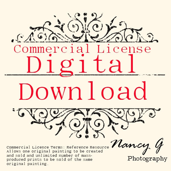 Commercial Image Print License Digital Download for Artist of - Etsy