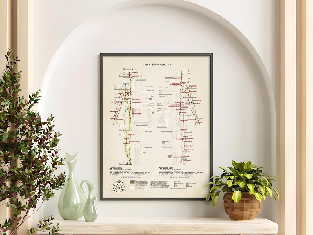 Human Body Meridians, Acupuncture Printable Poster Pressure Points Wall ...