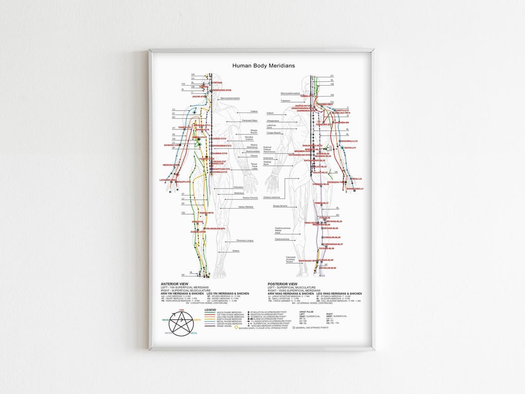 Human Body Meridians, Acupuncture Printable Poster Pressure Points Wall ...